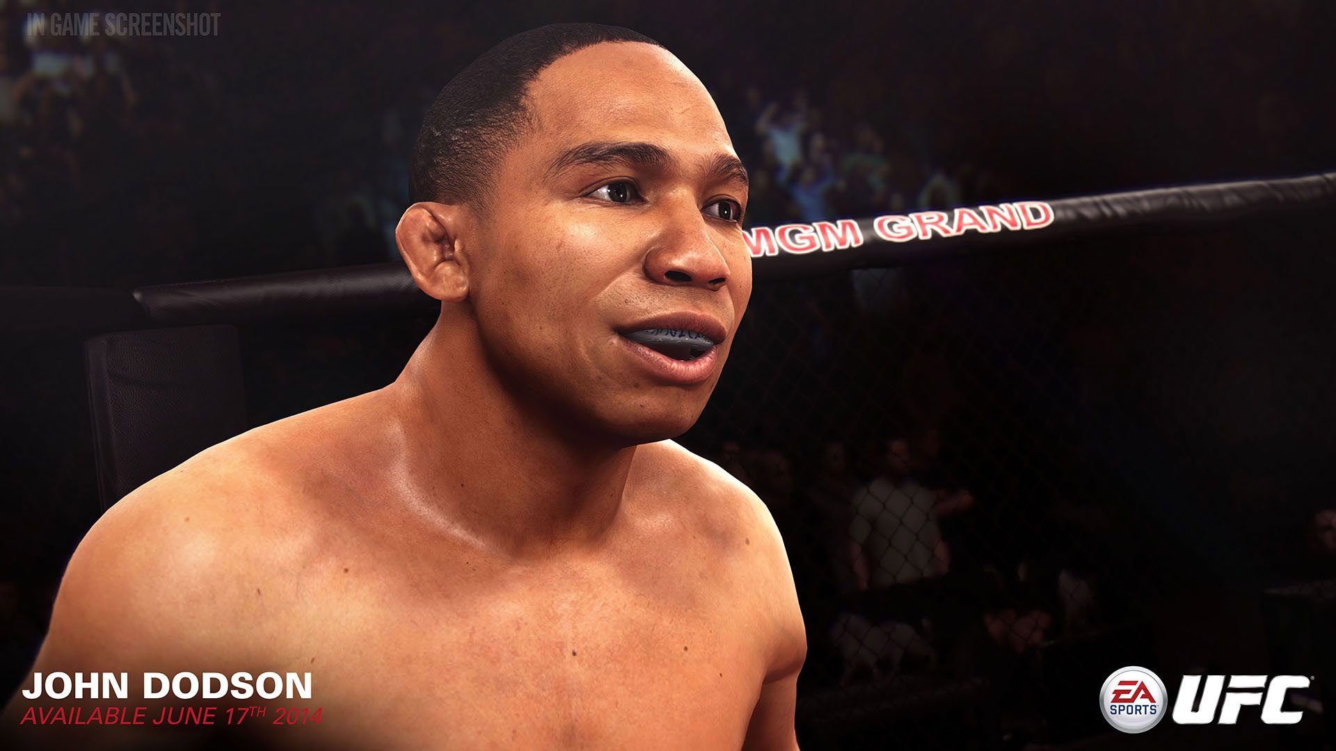 Review: EA Sports UFC