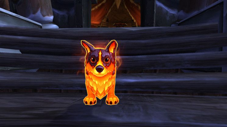 Cutest Virtual Corgi Ever Celebrates World Of Warcraft 10-Year Anniversary
