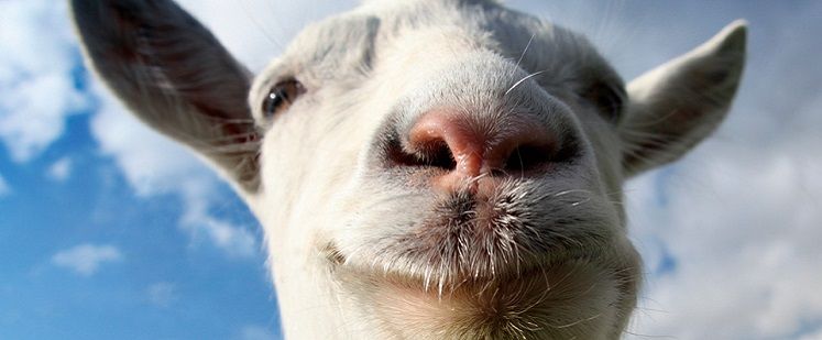 Goat Simulator Free Expansion Features a Microwave With Legs