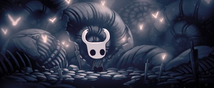 Hollow Knight Kickstarter Reaches the Halfway Point