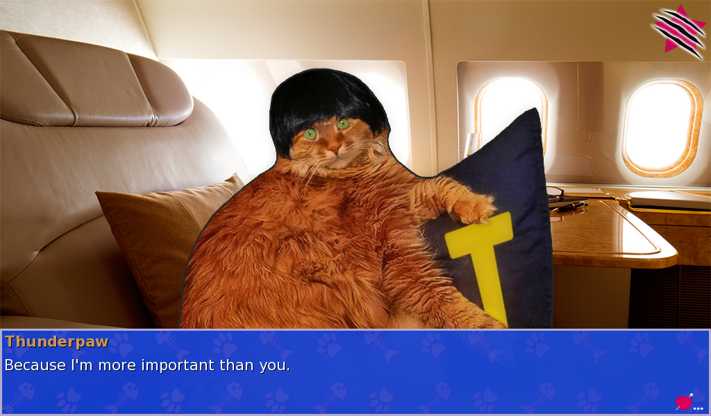 Kitties Get Political in Cat President