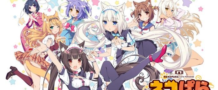 Nekopara Anime Kickstarter Funded on First Day