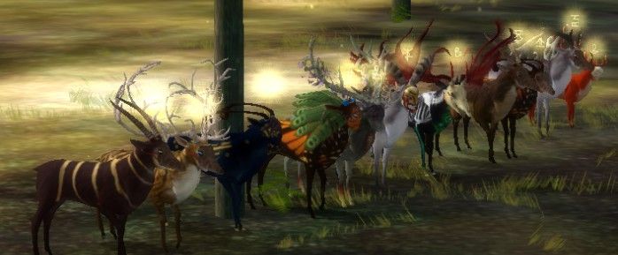 Crowdfunding for The Endless Forest Reaches Final 48 Hours