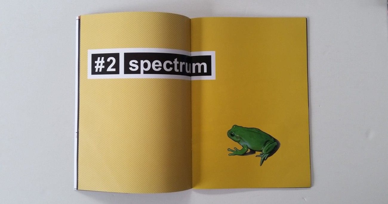 Collector's Cabinet: The Silver Case PC Limited Edition