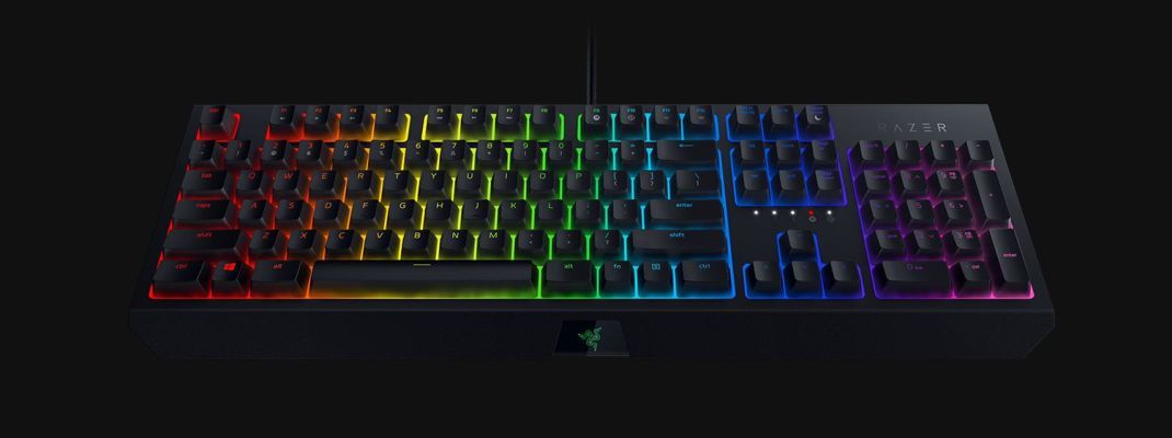 Review: Razer Blackwidow