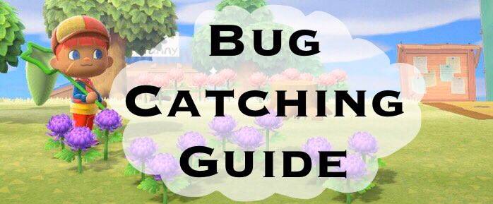 Animal Crossing: New Horizons Bug Catching Guide