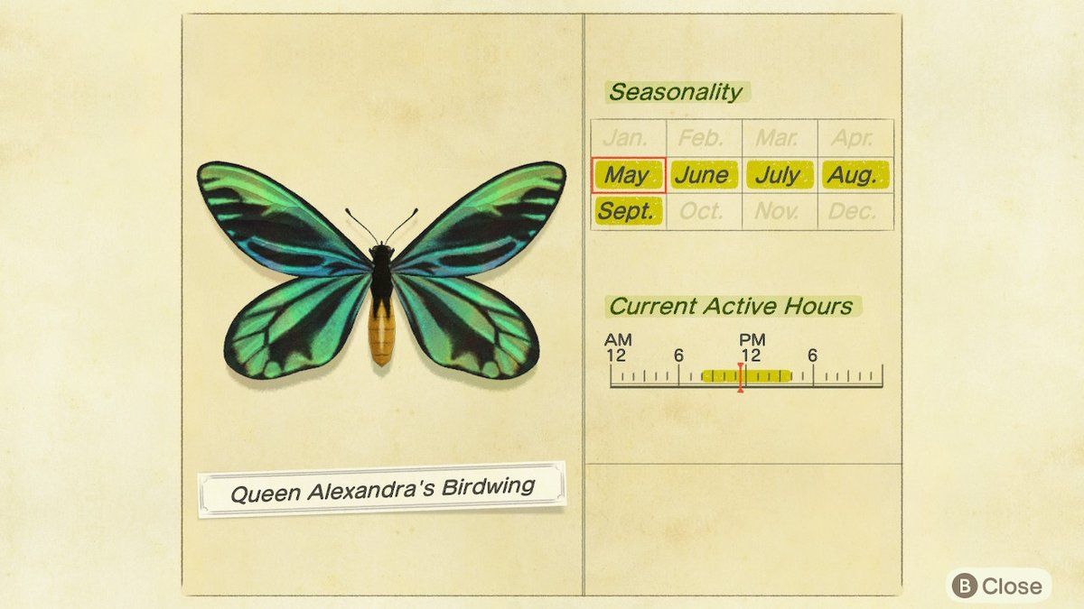 Animal Crossing: New Horizons Bug Catching Guide