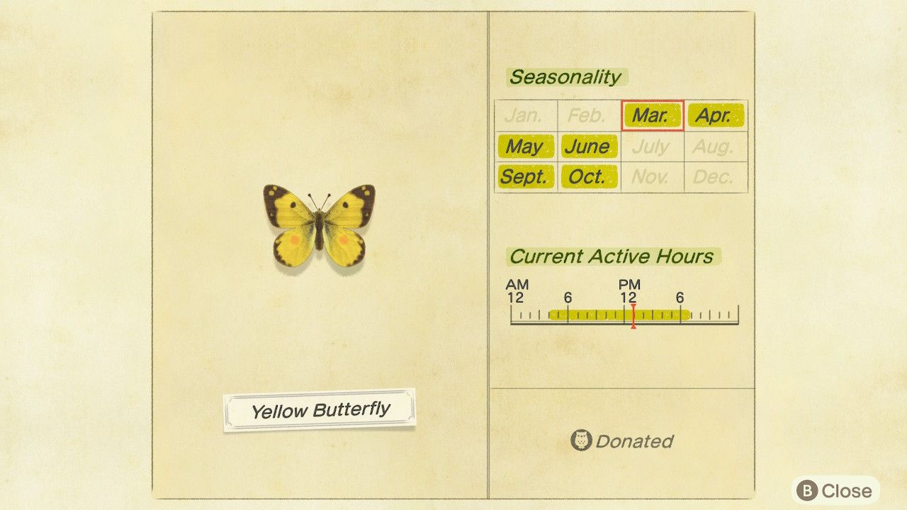 Animal Crossing: New Horizons Bug Catching Guide