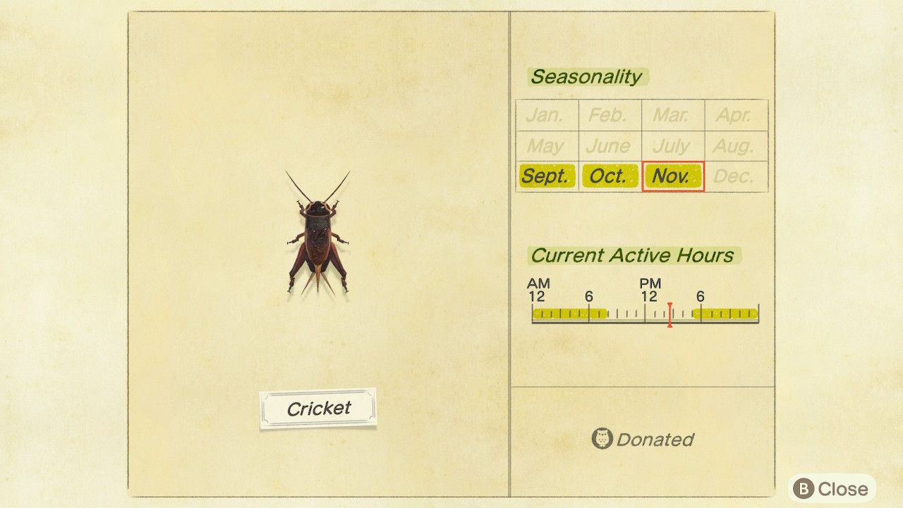 Animal Crossing: New Horizons Bug Catching Guide