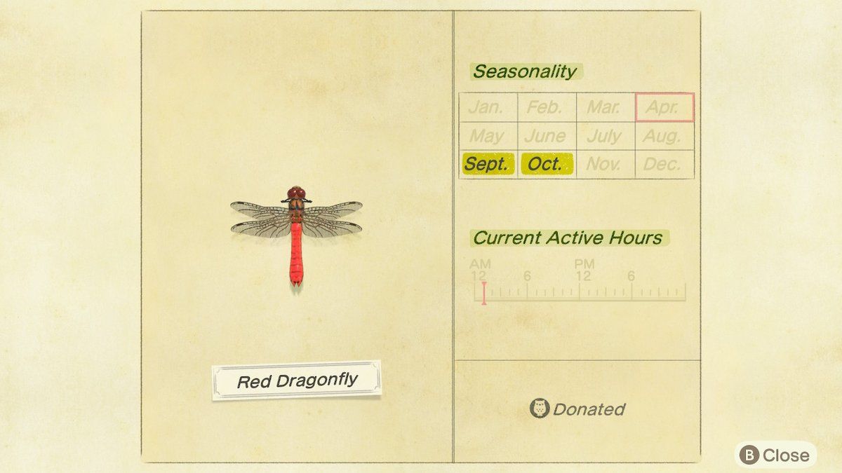 Animal Crossing: New Horizons Bug Catching Guide