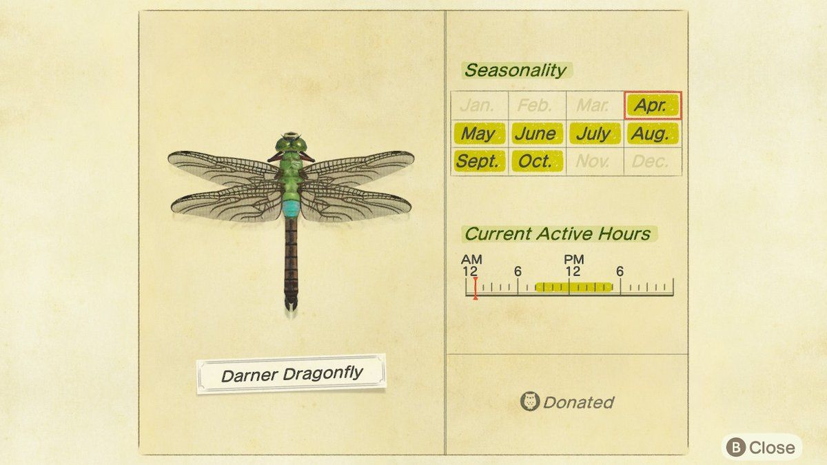 Animal Crossing: New Horizons Bug Catching Guide