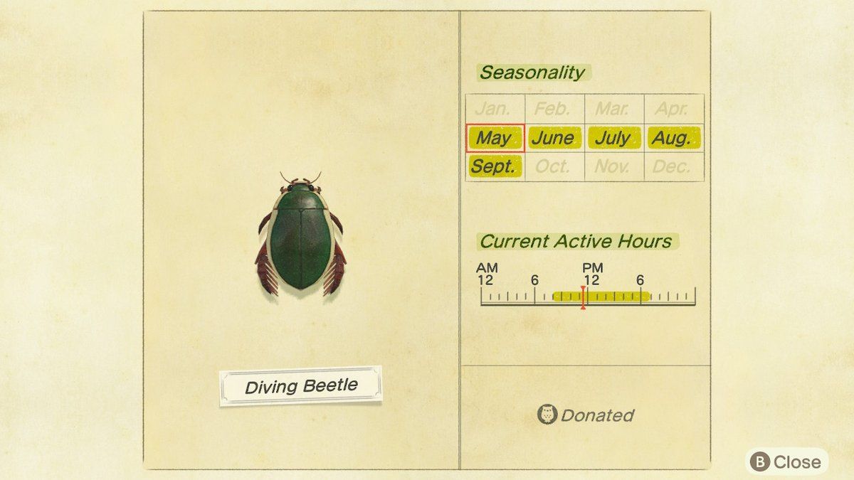 Animal Crossing: New Horizons Bug Catching Guide