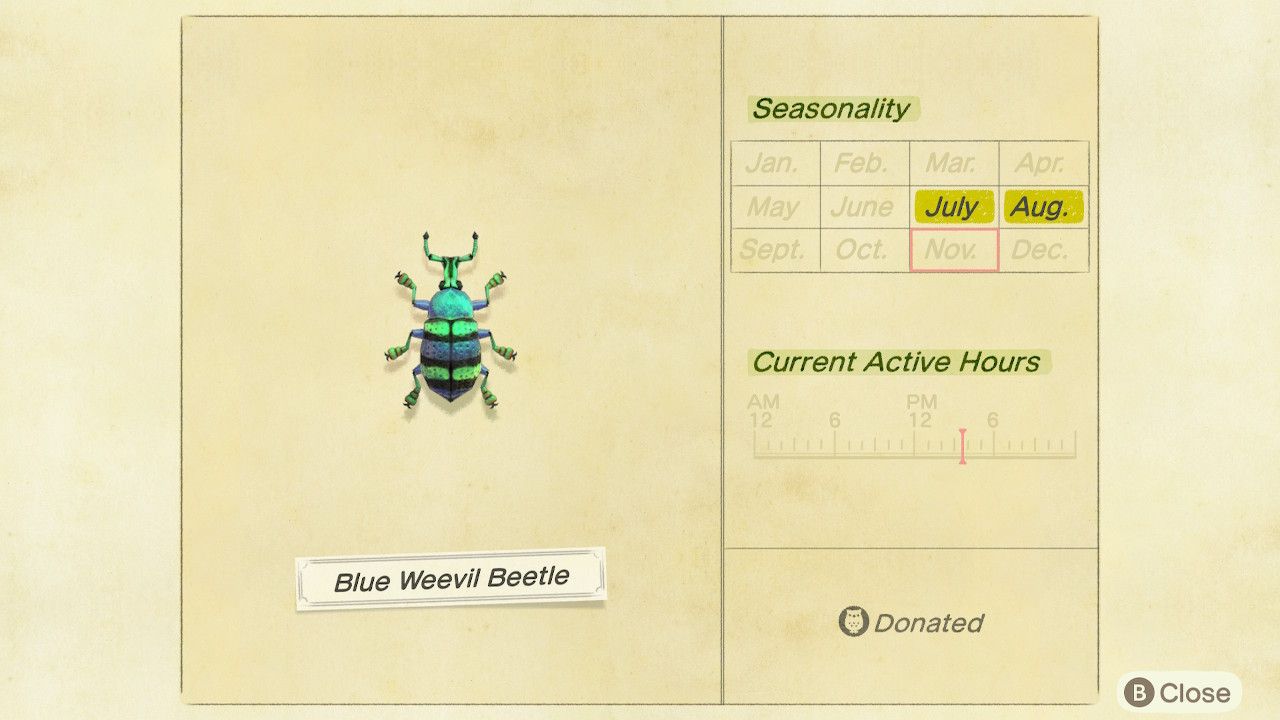 Animal Crossing: New Horizons Bug Catching Guide