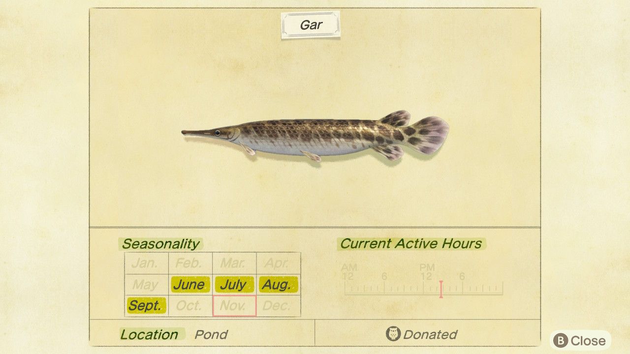 Animal Crossing: New Horizons Fish Catching Guide