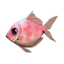 Palia DB | Bahari Bream | Hardcore Gamer