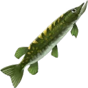 Palia DB | Bahari Pike | Hardcore Gamer