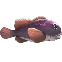 Palia DB | Blobfish | Hardcore Gamer