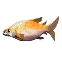 Palia DB | Golden Salmon | Hardcore Gamer