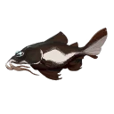 Palia DB | Kilima Catfish | Hardcore Gamer