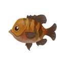 Palia DB | Orange Bluegill | Hardcore Gamer