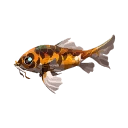 Palia DB | Scarlet Koi | Hardcore Gamer