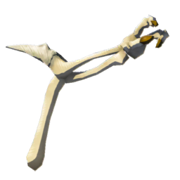 All Weapons in Zelda: Tears of the Kingdom