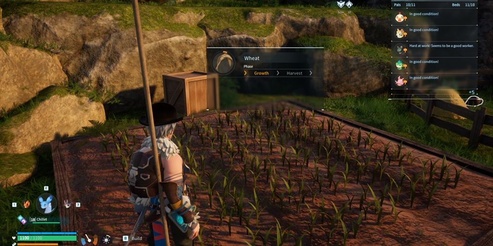 Palworld: How To Get Wheat Seeds And What To Do With Them