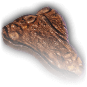 All Food & Drink In Baldur's Gate 3