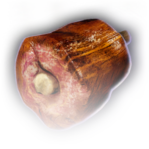 All Food & Drink In Baldur's Gate 3