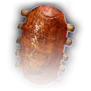 All Food & Drink In Baldur's Gate 3