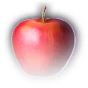 All Food & Drink In Baldur's Gate 3