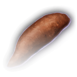 All Food & Drink In Baldur's Gate 3