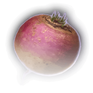 All Food & Drink In Baldur's Gate 3