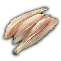 Fileted Raw Fish | Nightingale | Hardcore Gamer
