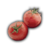 Tomato | Nightingale | Hardcore Gamer