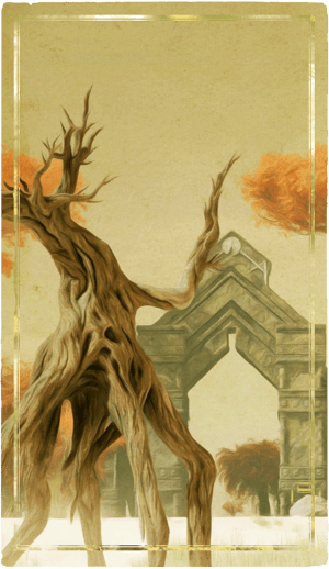 All Minor Realm Cards | Nightingale