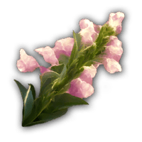 Flower (Snapdragon) | Nightingale | Hardcore Gamer