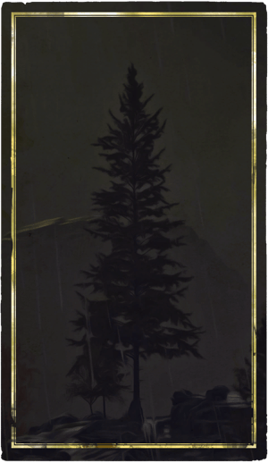 All Minor Realm Cards | Nightingale