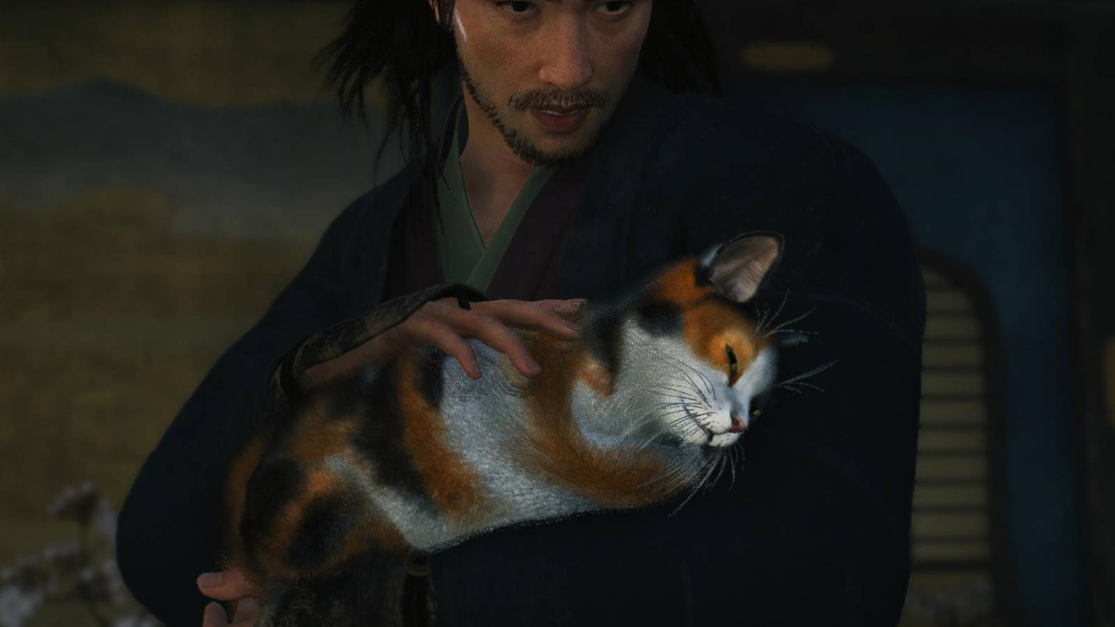 Rise of the Ronin Cat Guide Kyoto