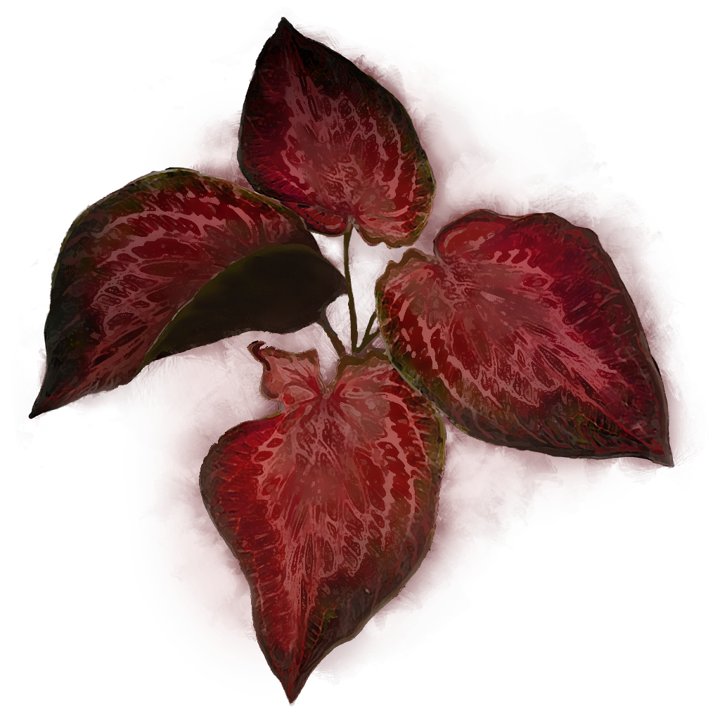 All Crafting Materials | Elden Ring