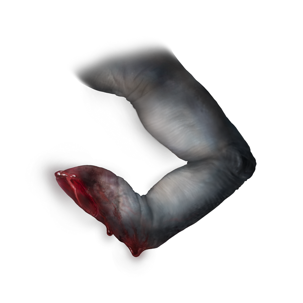 Elden Ring: All Side Quests