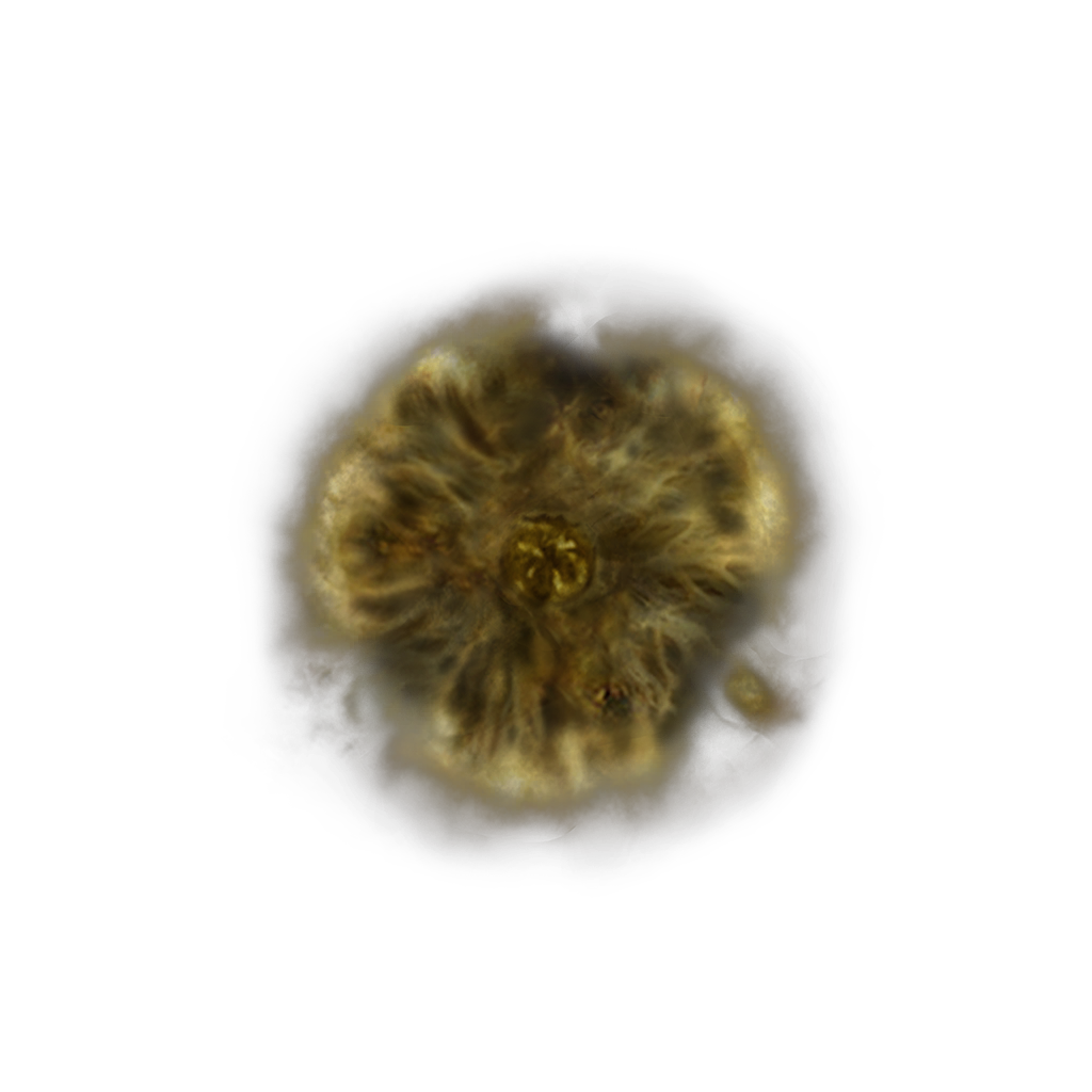 All Runes | Elden Ring