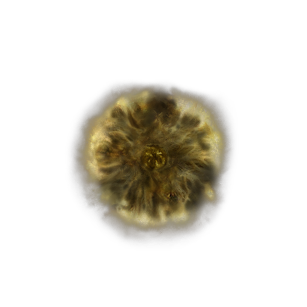 Golden Rune [13] | Elden Ring | Hardcore Gamer