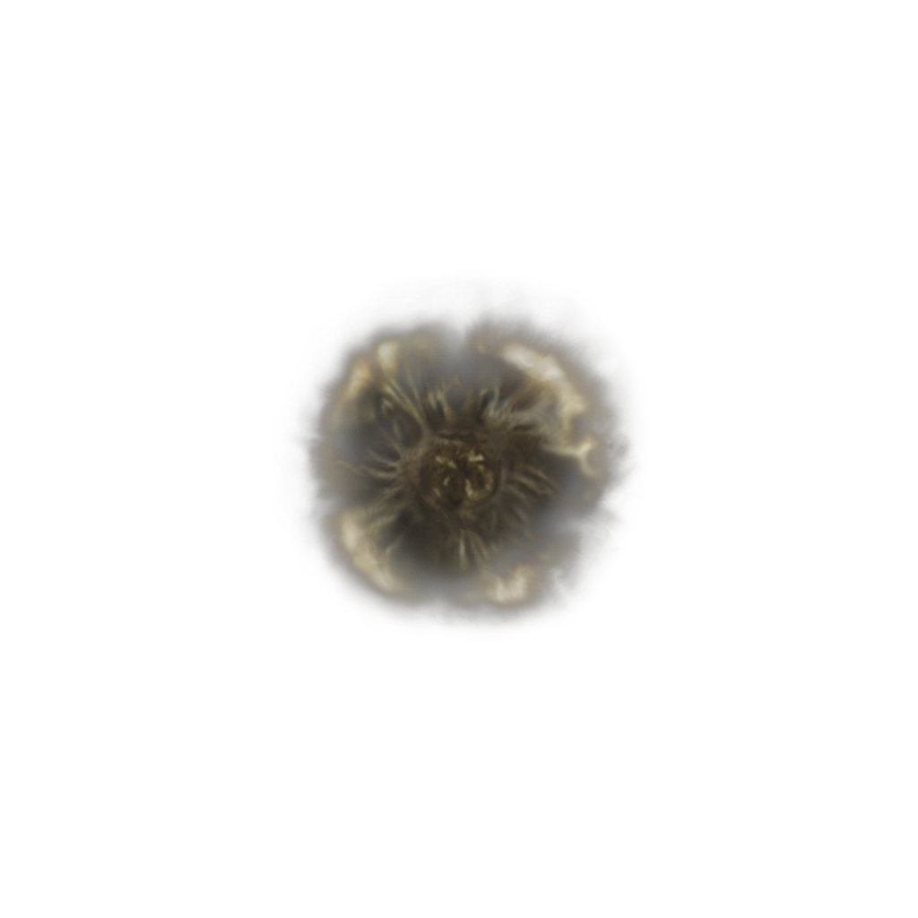 All Enemies | Elden Ring