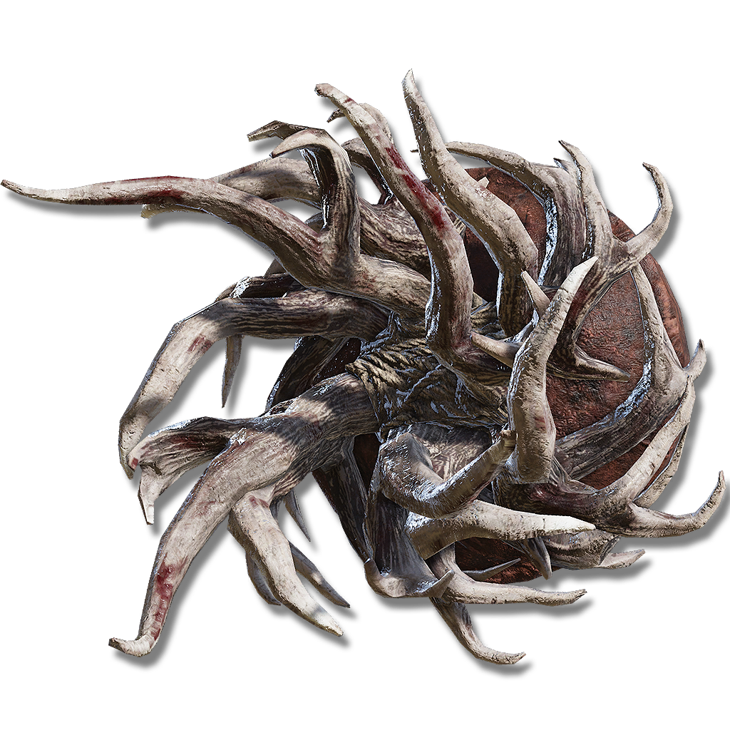 All Shields | Elden Ring