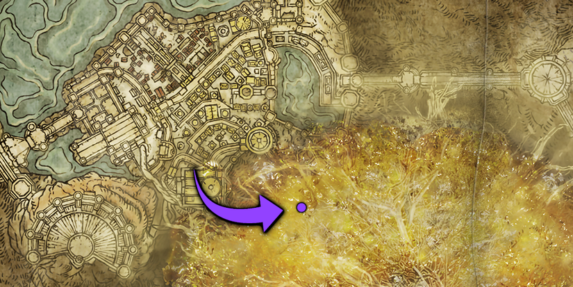 Morgott the Omen King | Elden Ring | Hardcore Gamer