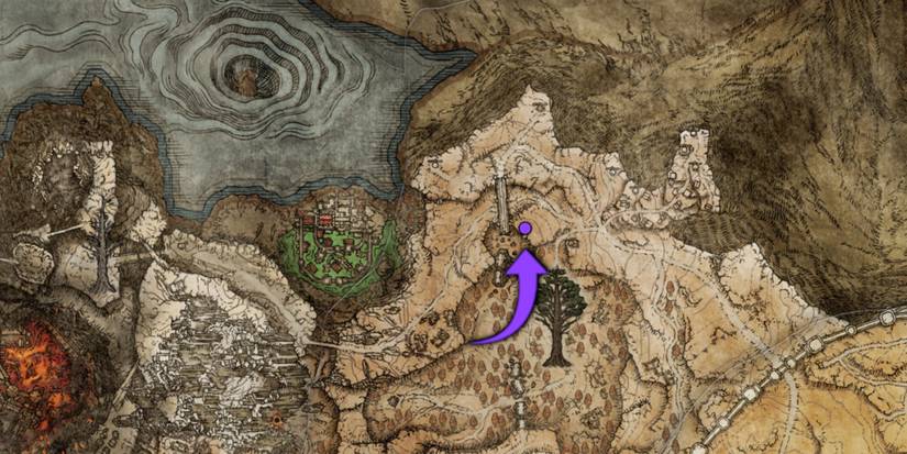 Protection of the Erdtree | Elden Ring | Hardcore Gamer