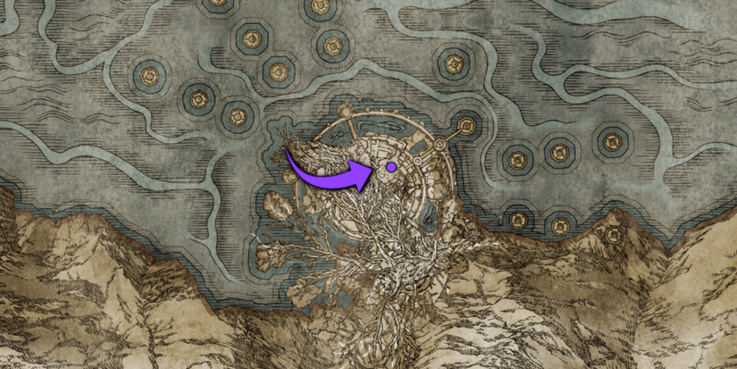 Cleanrot Knight Finlay Ashes | Elden Ring | Hardcore Gamer