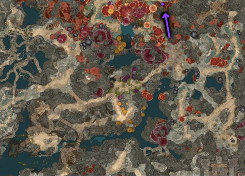 The Lifebringer | Baldur's Gate 3 | Hardcore Gamer