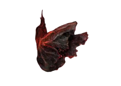 Black Pyrefly | Elden Ring | Hardcore Gamer